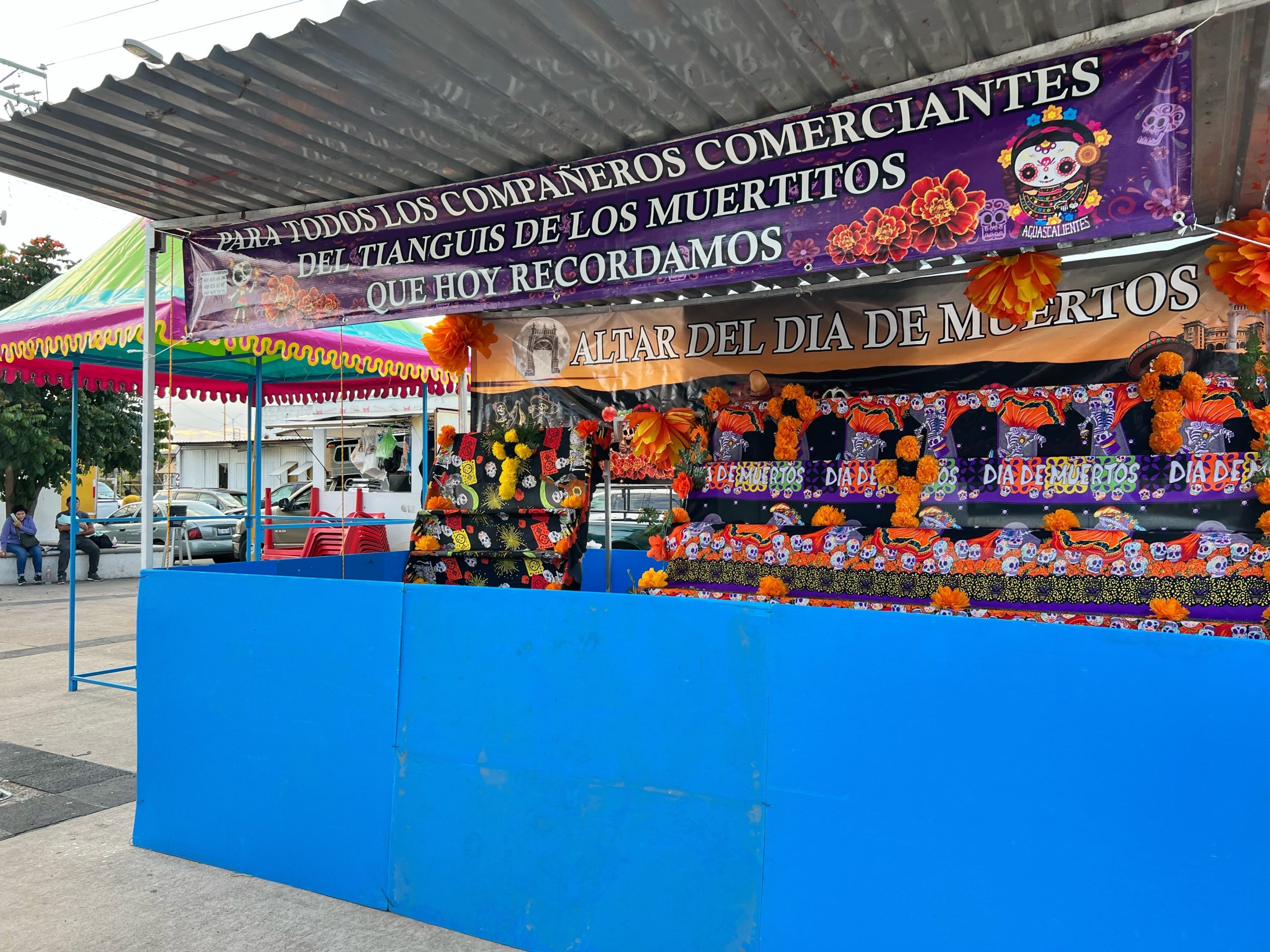 MUNICIPIO REALIZA OPERATIVO DE ORDEN Y SEGURIDAD EN EL TIANGUIS DE “LOS ...